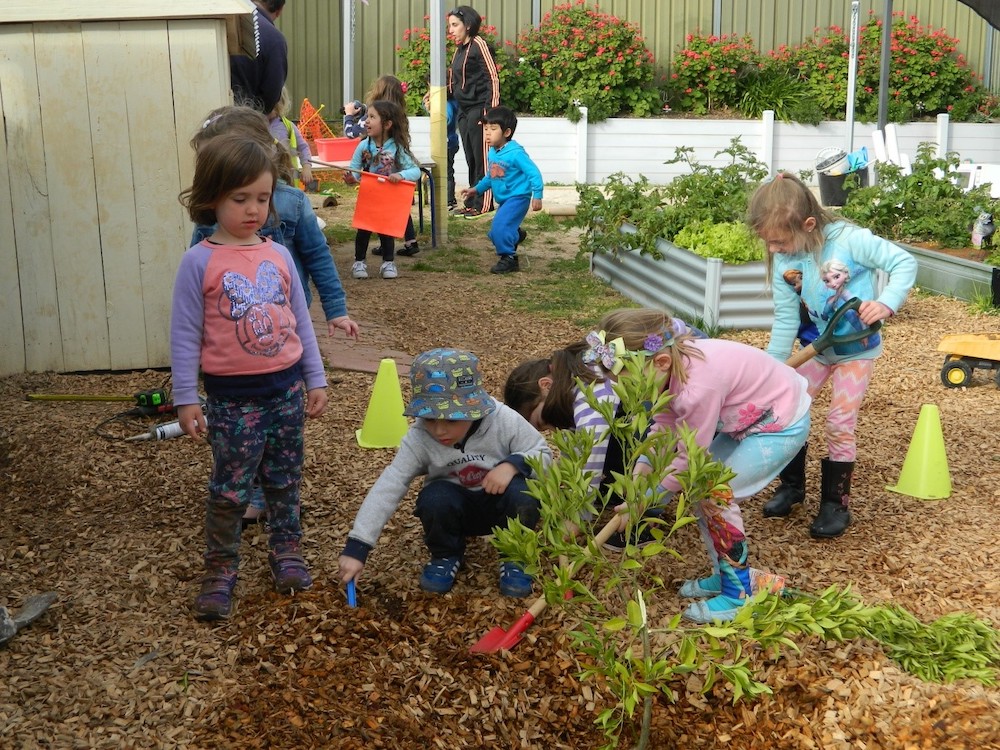 Gardening At Childcare KindiCare gardening-at-childcare-kindicare