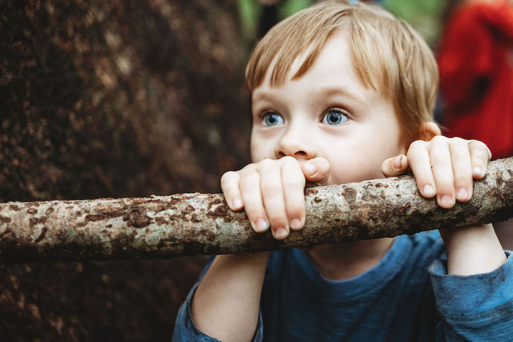 Forest Kindy | KindiCare