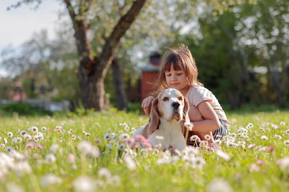 Dogs and Kids | KindiCare